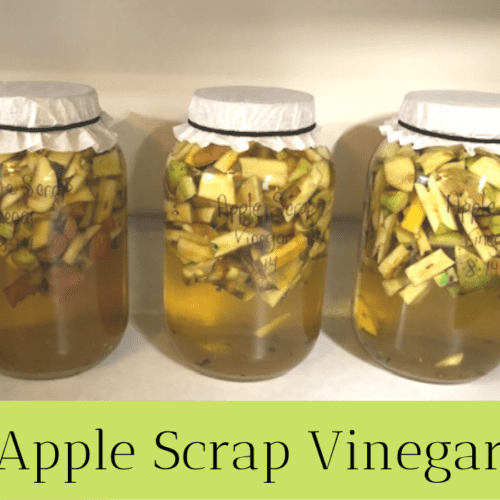 Apple Scrap Vinegar for a No-Waste Kitchen! - Rivers Family Farm