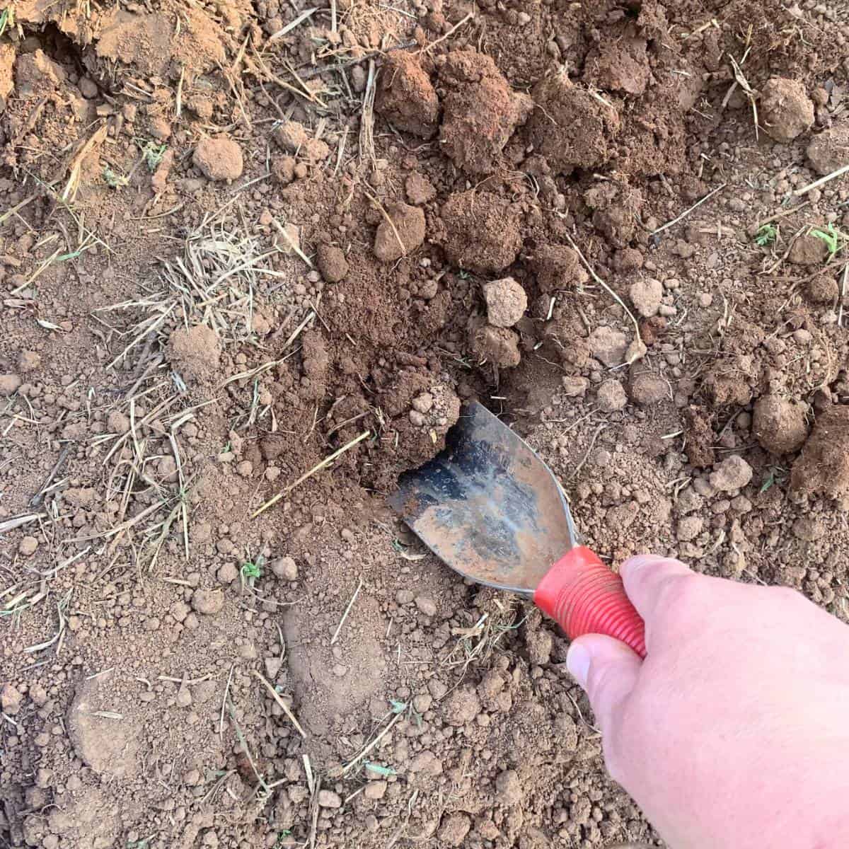 Is Clay Soil Acidic? (How to Know Your Soil pH) - Rivers Family Farm