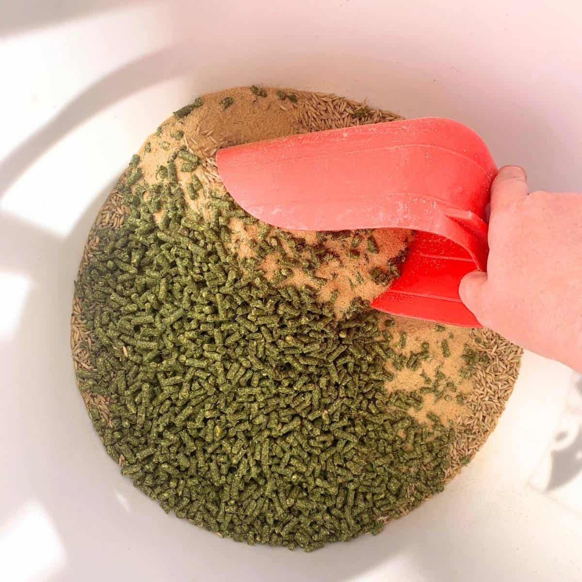 Homemade Organic Dairy Cow Feed Recipe - Rivers Family Farm
