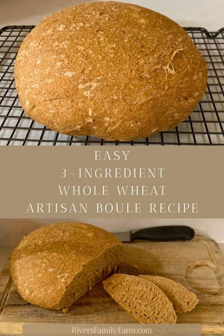 Easy 3 Ingredient Whole Wheat Artisan Boule Recipe - Rivers Family Farm