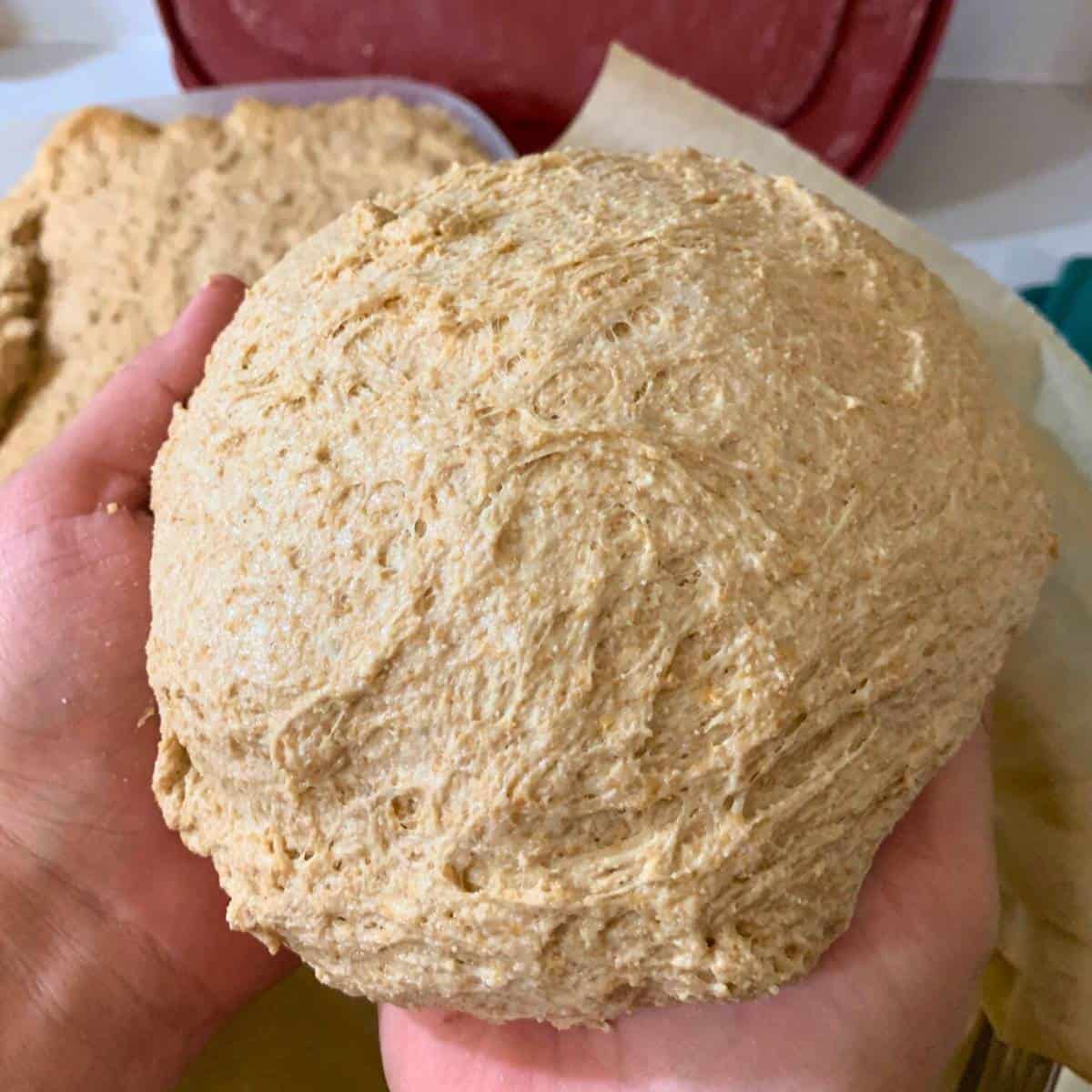 Easy 3 Ingredient Whole Wheat Artisan Boule Recipe - Rivers Family Farm