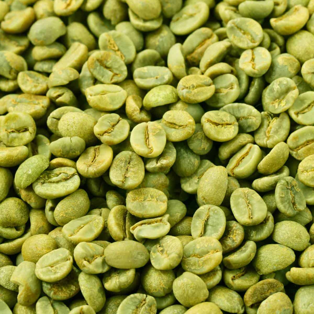 Coffee Extract vs Coffee vs Green Coffee + Recipe - Rivers Family Farm
