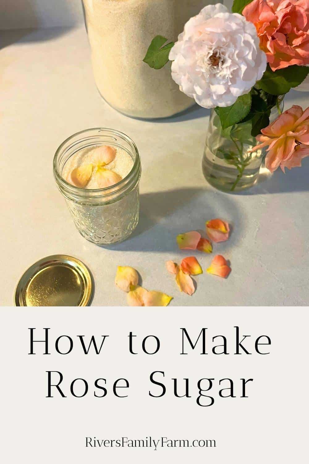 How to Make Rose Sugar, a Decadent Treat! - Rivers Family Farm
