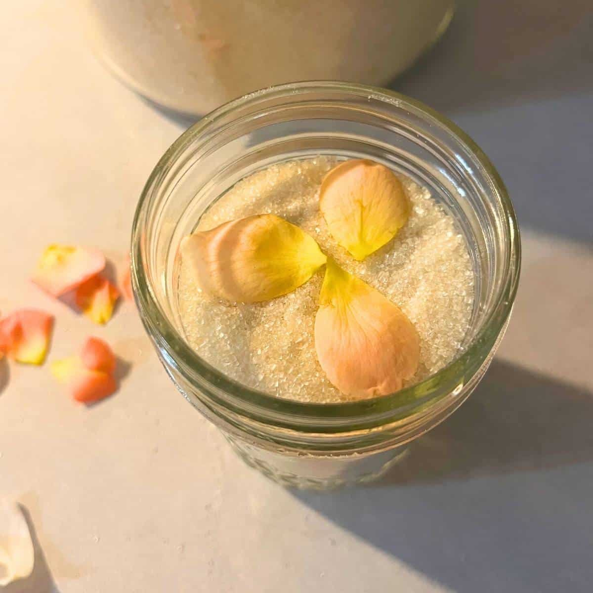 How to Make Rose Sugar, a Decadent Treat! - Rivers Family Farm