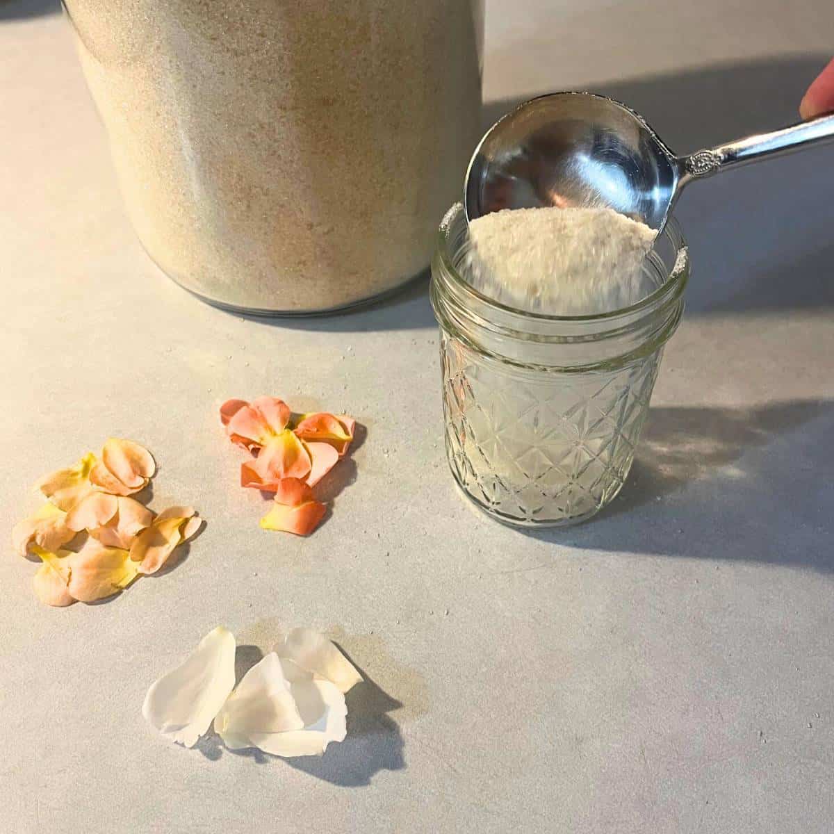 How to Make Rose Sugar, a Decadent Treat! - Rivers Family Farm