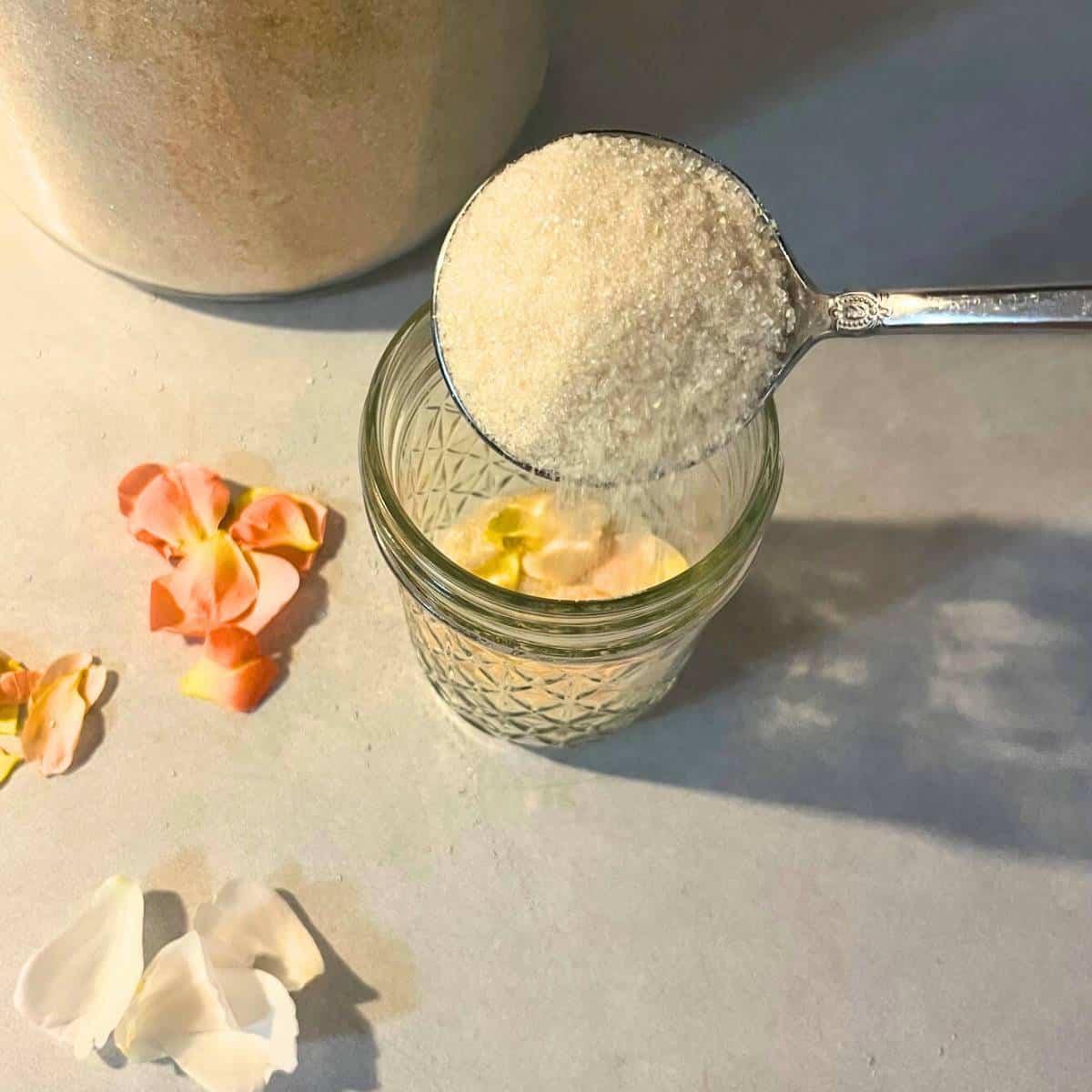How to Make Rose Sugar, a Decadent Treat! - Rivers Family Farm
